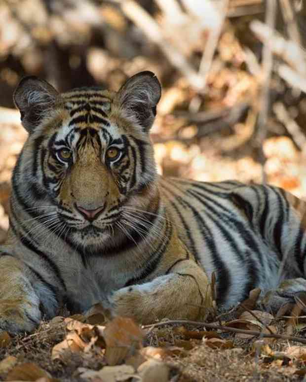 Navigating the Modern Age - HubPages