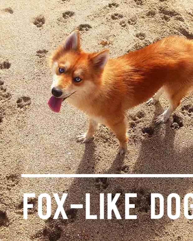 Seasons in the Desert - HubPages