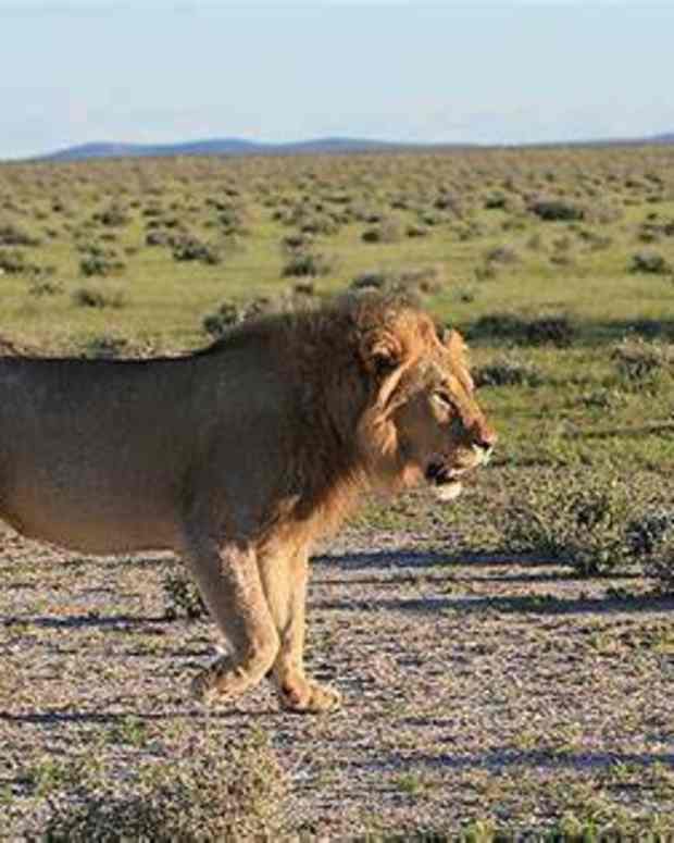 100 Best Country Songs From 1985 - HubPages