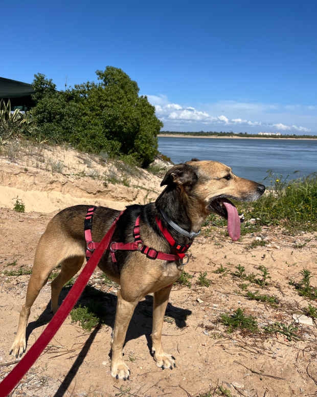 11 Golf Outing Games That Help Raise Money - HubPages