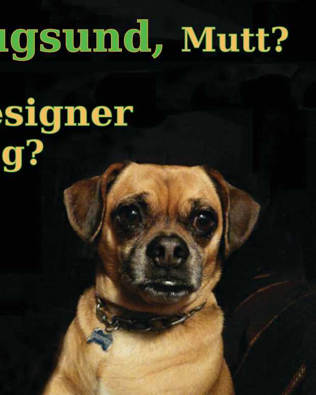 Anglo-Saxon History - HubPages