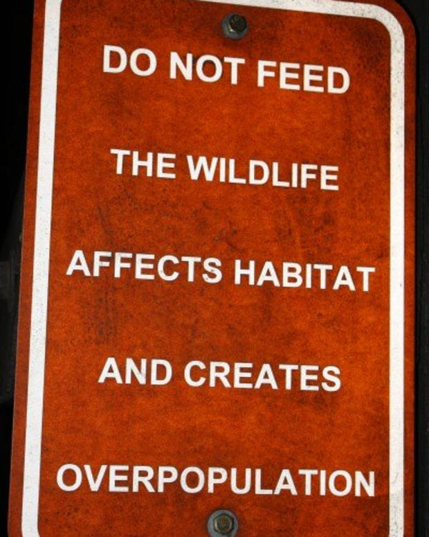 Define Effect vs. Affect: Grammar Guide - Owlcation - Education