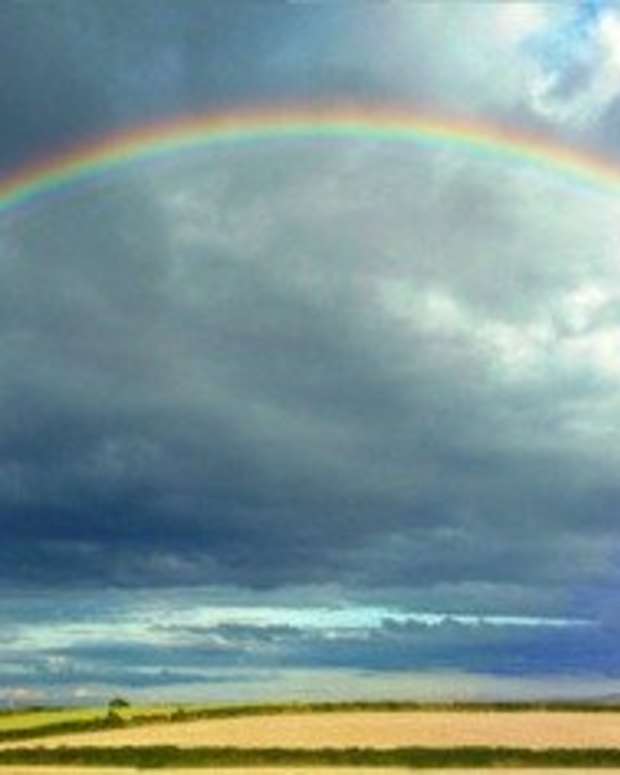 Sugar Rainbow Density Experiment - Owlcation - Education