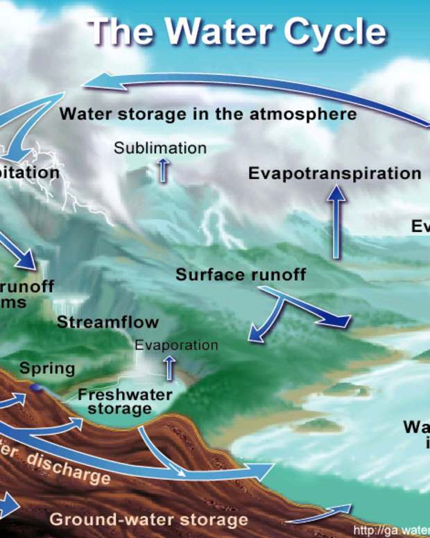 Why Water Is Important to Life - Owlcation - Education