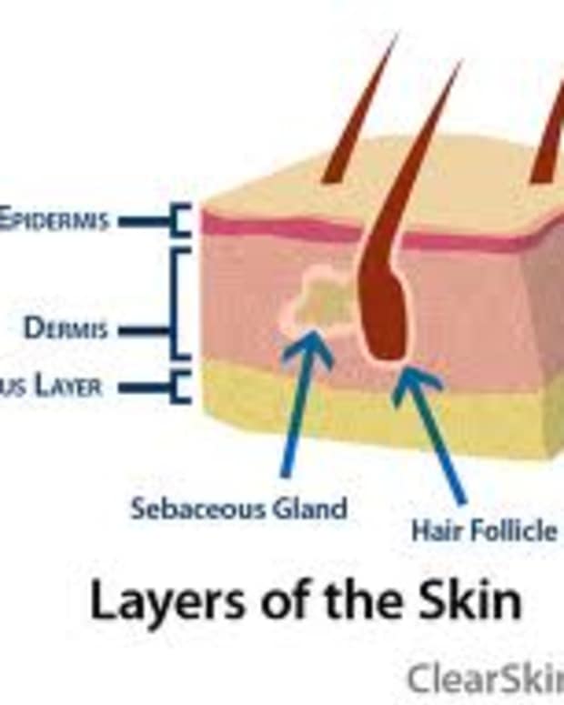Primary and Secondary Bonds - Owlcation - Education