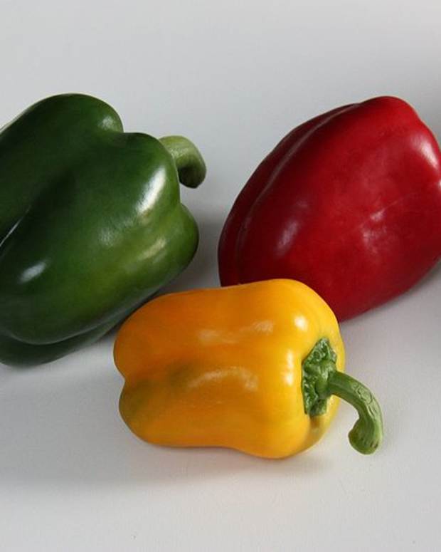 How to Grow Pequin Peppers - Dengarden - Home and Garden