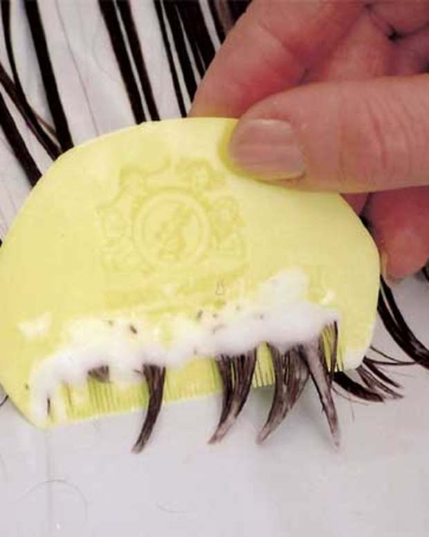 How to Get Rid of Head Lice and Nits With Vinegar and Conditioner ...