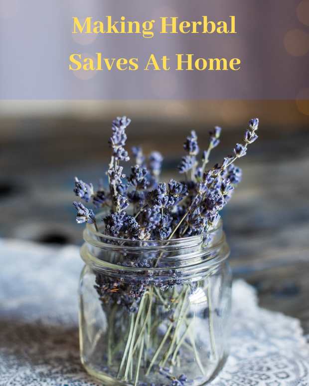 How to Make a Poultice for Removing Splinters, Boils and Abscesses ...