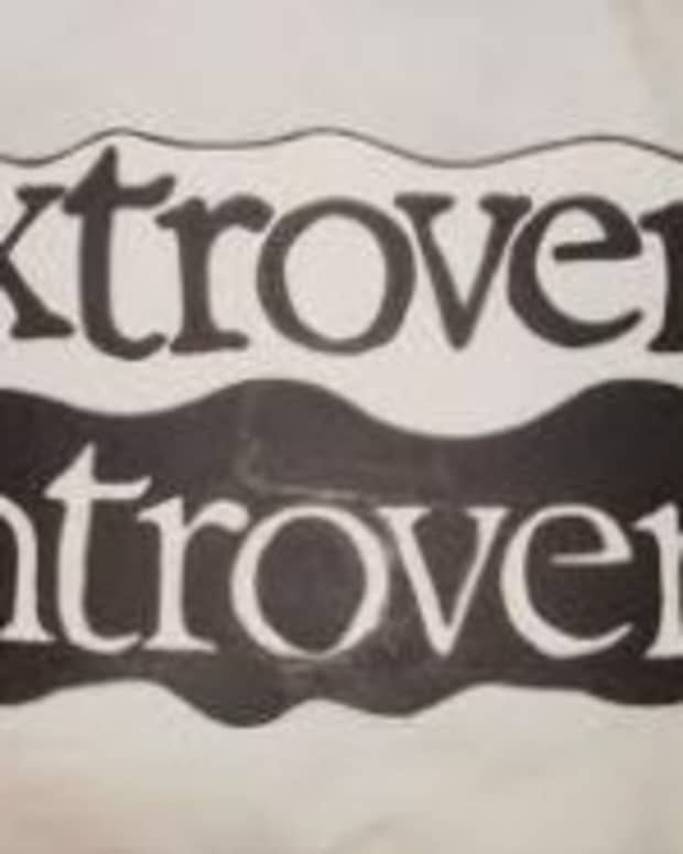 A Guide to Understanding Asocial Introverts - Owlcation - Education