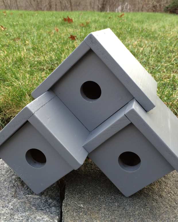 Made for the Birds: How to Build a Multi-Unit Condo Birdhouse - FeltMagnet