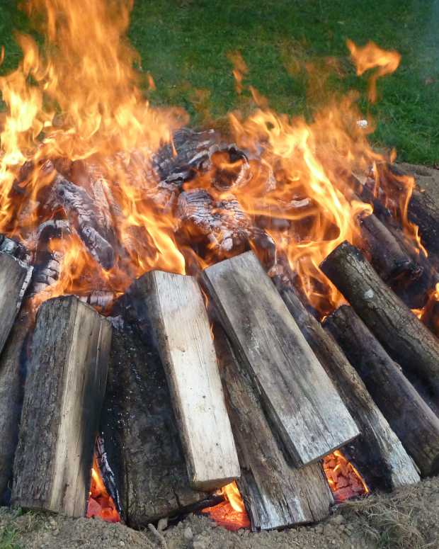 Tree Stump Removal the Lazy Way - Dengarden - Home and Garden