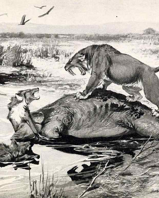 Top 5 Deadliest Predators of All Time - Owlcation - Education