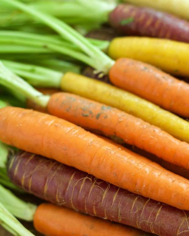 How to Glaze Carrots and Other Vegetables for Side Dishes - Delishably ...