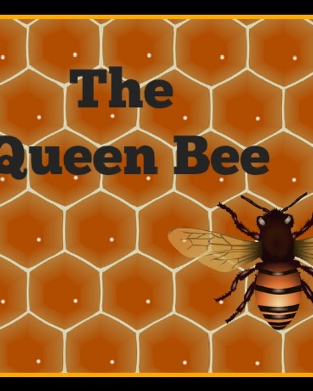 Fascinating Facts About Honey Bees: 20 Questions …with Answers ...