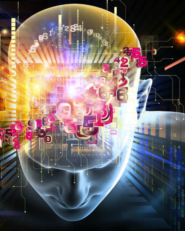 Take the Pig Personality Test - Owlcation - Education