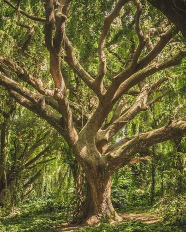 A Nostalgic Adventure - A Short Story - LetterPile - Writing and Literature