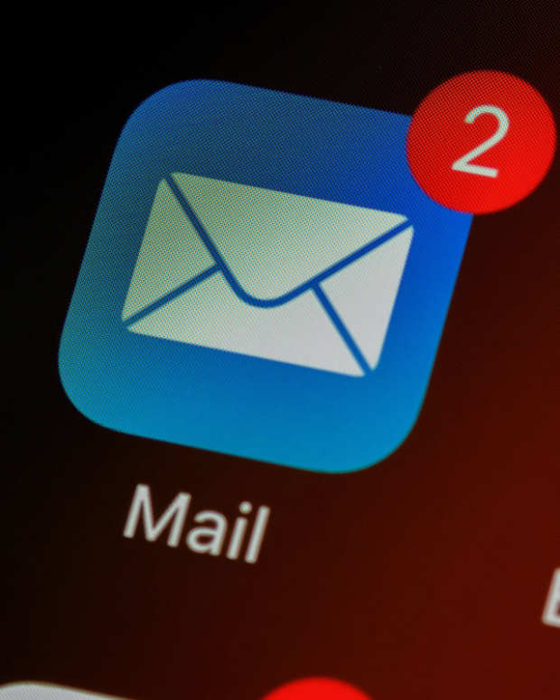 How to Butcher a Chicken, Part 2: Gutting, and Cutting Chickens into ...