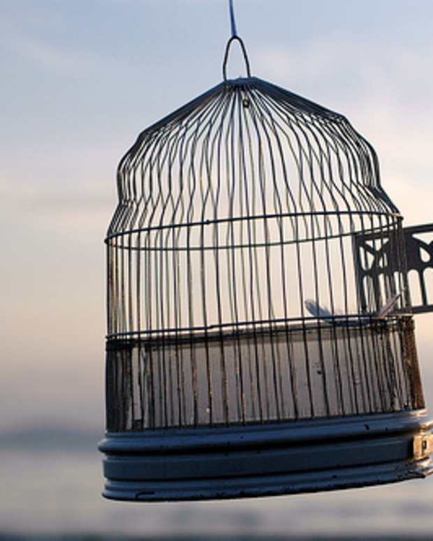 Prayer for a Caged Heart - LetterPile - Writing and Literature