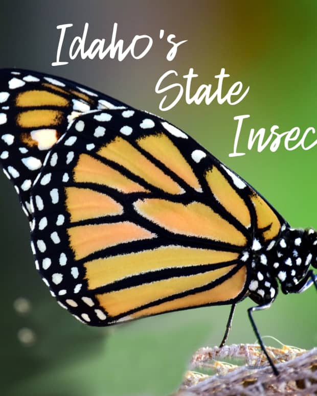 How to become a Real Estate agent in Jamaica - HubPages