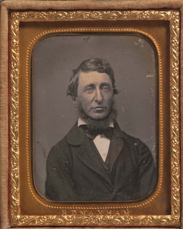 Alice in Wonderland Art - HubPages