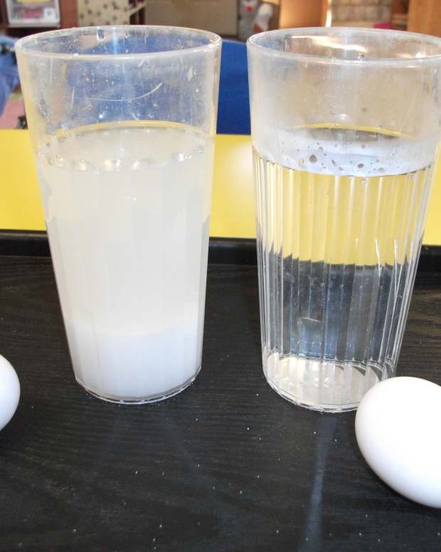 8 Hands-On Experiments to Teach Kids About Chemical Reactions ...