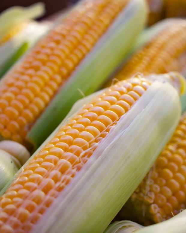 Mom Shares Sensational Corn on the Cob Cooking Hack and It’s Pure Gold ...