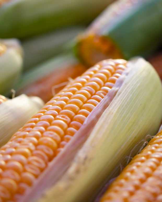 Chef's Cool Corn-on-the-Cob Trick Will Make Any BBQ the Event of the ...