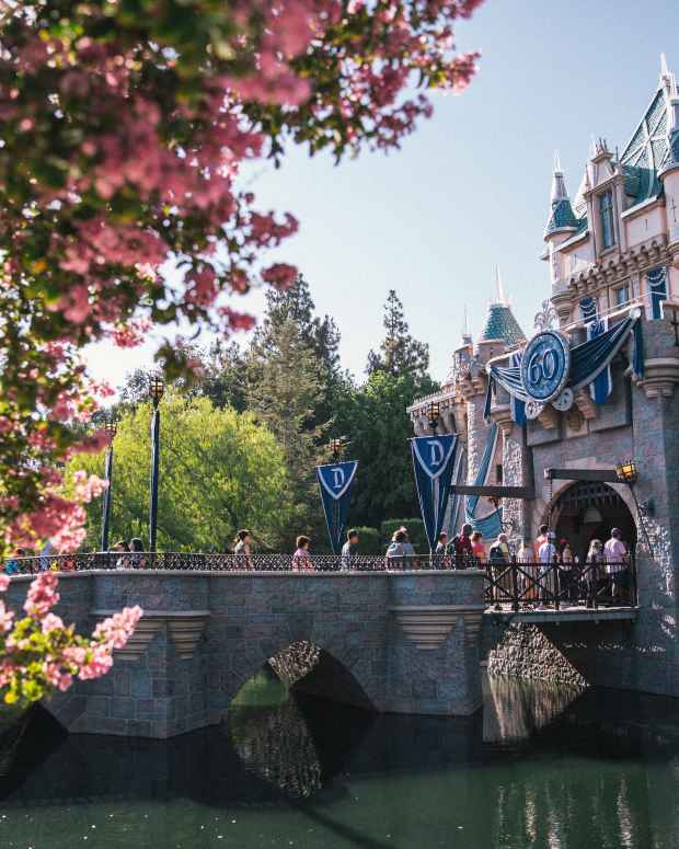 Mom Shares 'Secret Viewing Area' for Watching 'World of Color' at ...