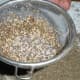 How I Grow and Harvest Organic Chia Seeds - HubPages