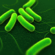 Bacterial Intracellular Structures That Give Bacteria/Prokaryotes an ...