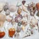 Univalve Shell ID Guide: Conchs, Whelks, Cones, Helmets & More - HubPages
