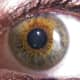 Mysterious Beauty: The Fascinating Phenomenon of Heterochromia in the ...