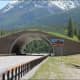 Innovative Wildlife Crossings - HubPages