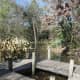 Edith L. Moore Nature Sanctuary Photos and Information - HubPages