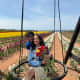 Exploring the Belfast Tulip Fields on Prince Edward Island - HubPages