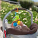 Topsy Turtle Mirror Pal by Infantino - HubPages
