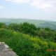 Skyline Drive: A Scenic Drive Along the Blue Ridge Mountains - HubPages