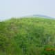 Skyline Drive: A Scenic Drive Along the Blue Ridge Mountains - HubPages