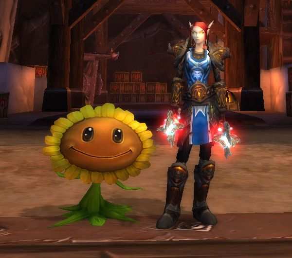 How to Get Your Singing Sunflower Pet - HubPages