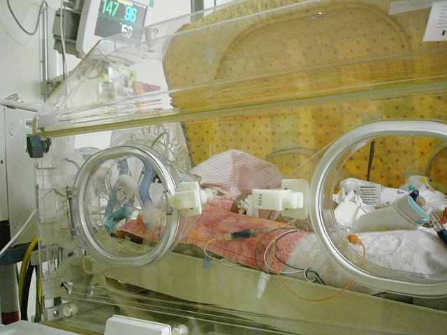 The Baby Incubator: The Innovation That Saved My Daughter's Life ...
