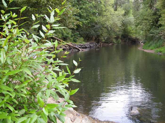 5 Swimming Holes Near Corvallis, Oregon - HubPages