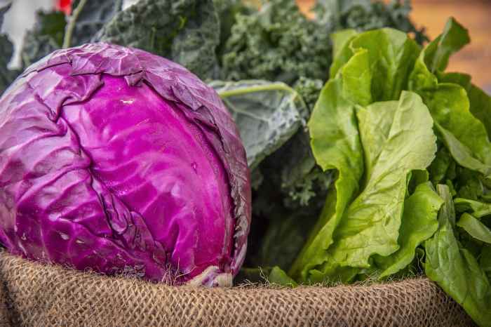 Red Cabbage Health Benefits, Anthocyanins, and Indicator Fun - HubPages