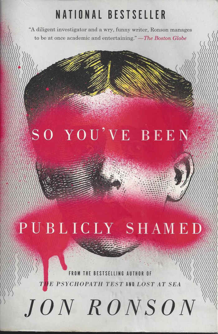 "So You've Been Publicly Shamed" Book Review - HubPages