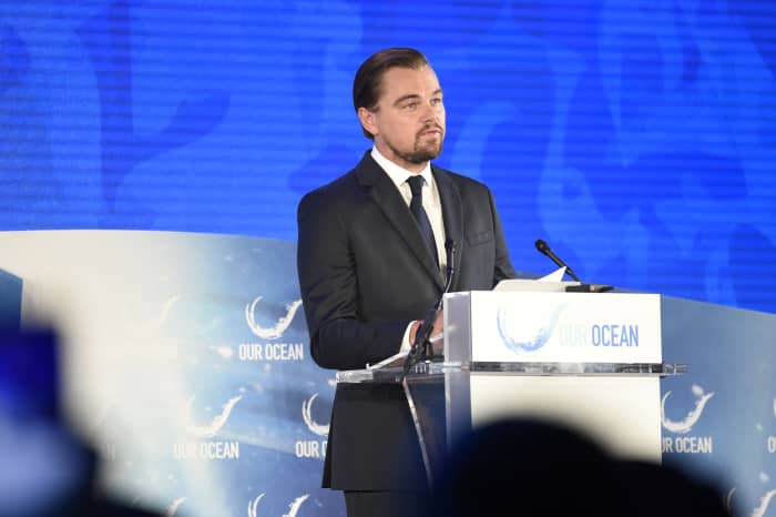 Leonardo Dicaprio's Journey Towards Environmental Activism - HubPages