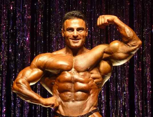 The Best Way to Gain Muscle Mass: How to Construct the Ideal Muscle ...