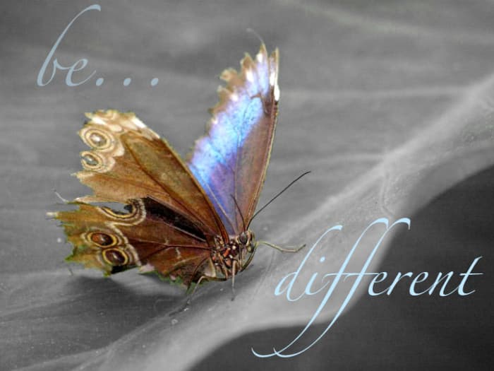 How To Overlay Text On Photos In Adobe Photoshop TurboFuture