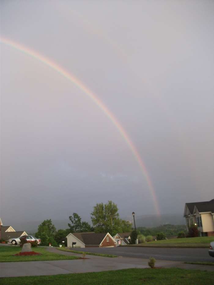 How to Make a Rainbow at Home: Fun Science Projects for Kids - WeHaveKids