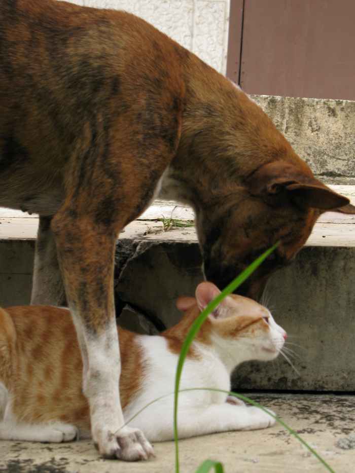 A Perfect Melancholy’s Guide to Living With a Popular Sanguine - HubPages