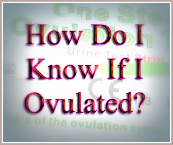 How Do I Know if I Ovulated? - HubPages