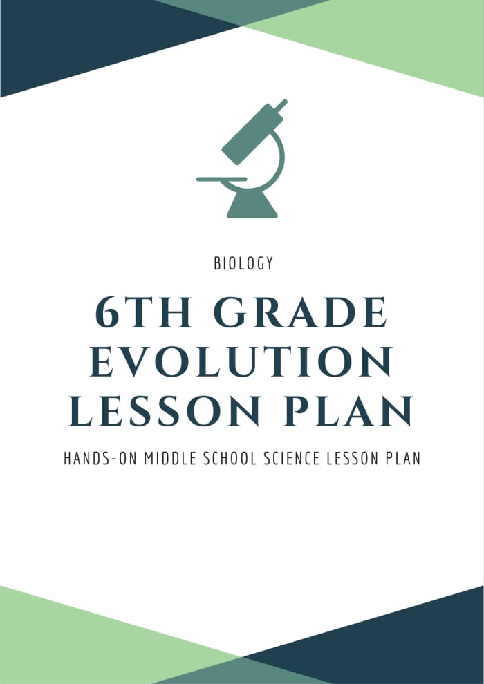Evolution Lesson Plan Activity For Middle School Owlcation evolution-lesson-plan-activity-for-middle-school-owlcation